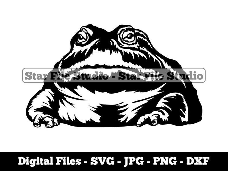 Toad 4 Svg Toad Svg Frog Svg Toad Png Toad Jpg Toad - Etsy