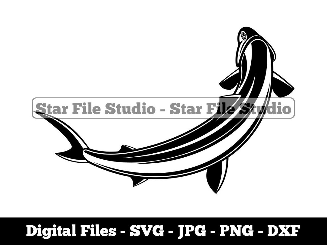 Fish Logo Svg Fishing Svg Fish Svg Fish Png Fish Jpg Fish - Etsy