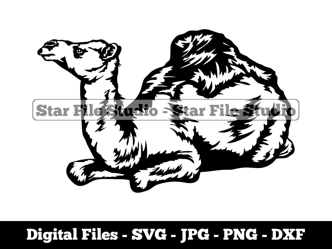 Camel #4 Svg, Camel Svg, Desert Animals Svg, Tourism Svg, Camel Png ...