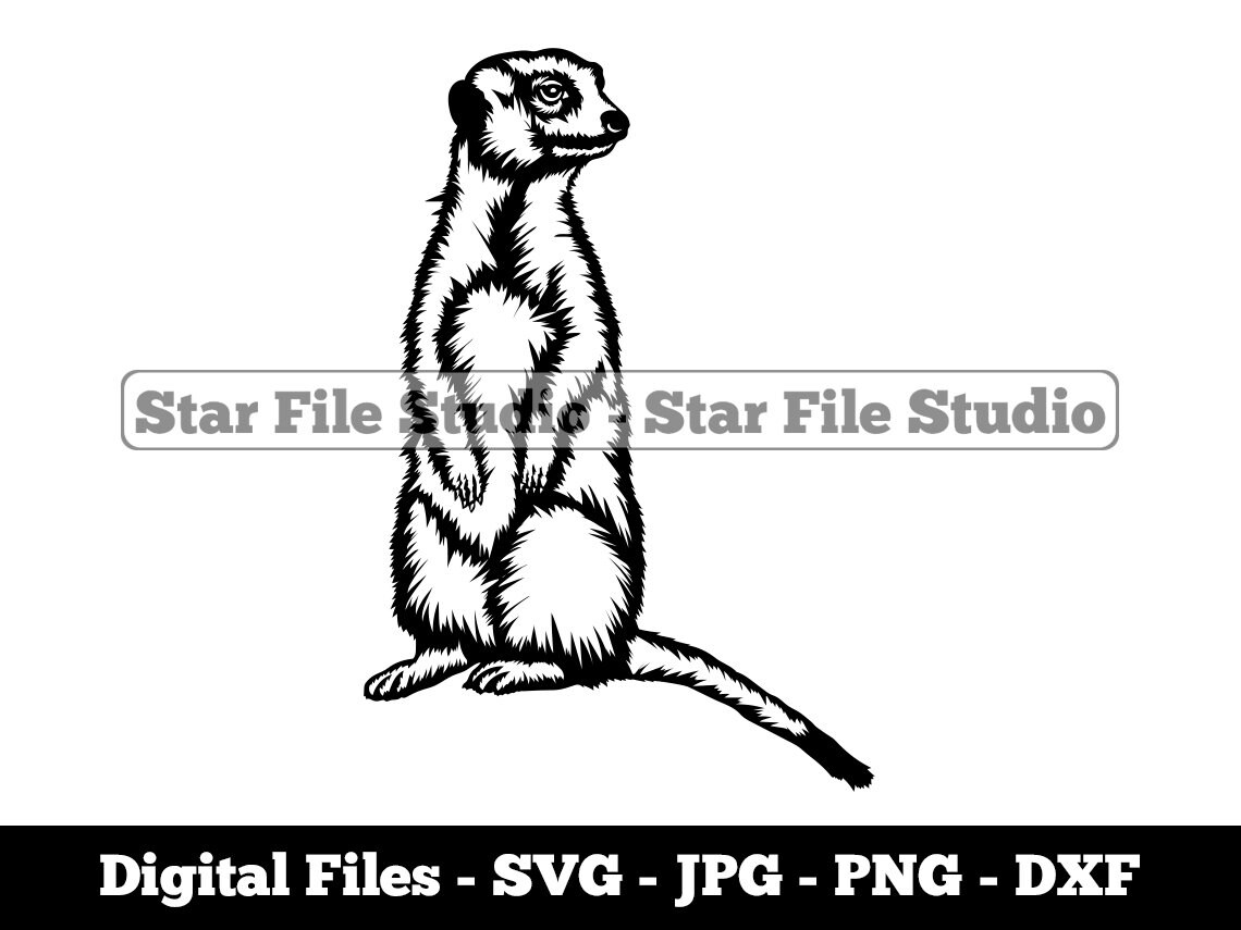 Mongoose Svg, Mongoose Mascot Svg, Forest Creatures Svg, Mongoose Png ...