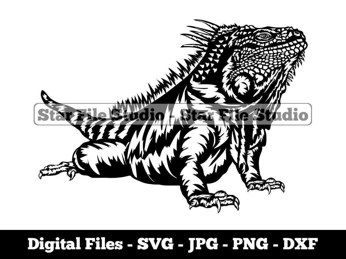 Iguana Svg Lizard Svg Reptile Svg Iguana Png Iguana Jpg - Etsy