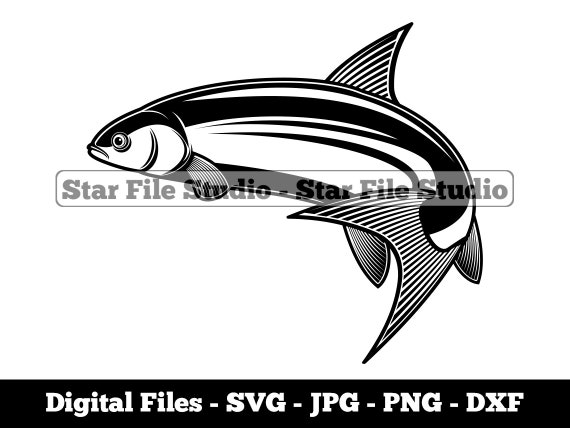 Whitefish 2 Svg Whitefish Svg Fishing Svg Fish Svg | Etsy
