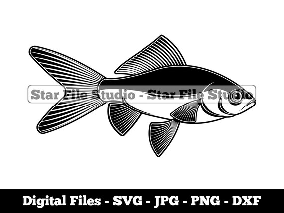 Fish Svg Fishing Svg Ocean Fish Svg Fish Png Fish Jpg - Etsy