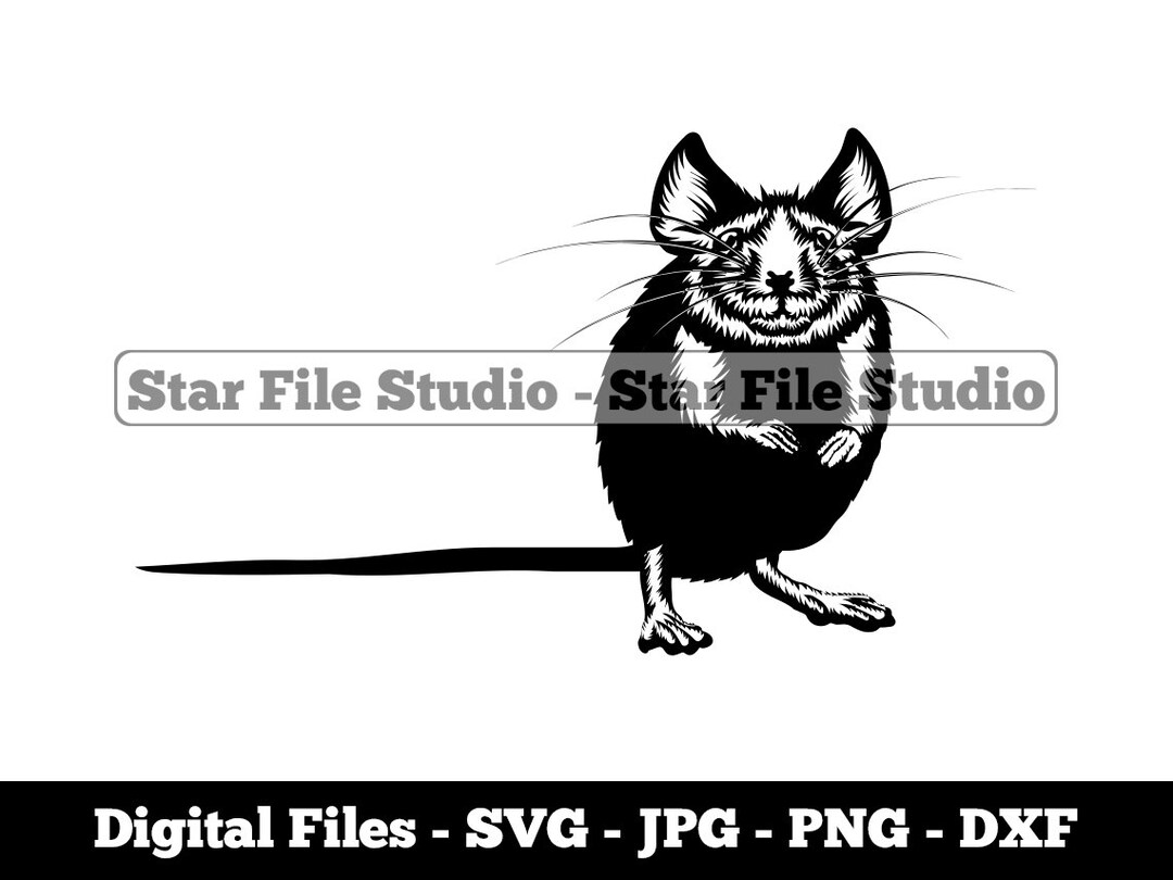 Standing Mouse Svg, Mouse Svg, Mice Svg, Mouse Png, Mouse Jpg, Mouse ...