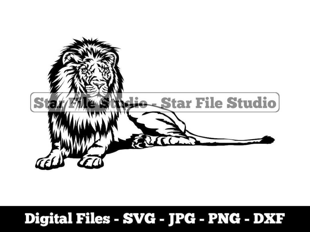 Lion #5 Svg, Lion Svg, Safari Animals Svg, Lion Png, Lion Jpg, Lion ...
