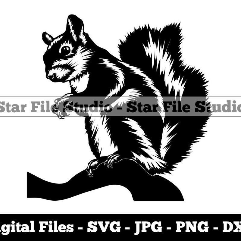 Squirrel Svg - Etsy