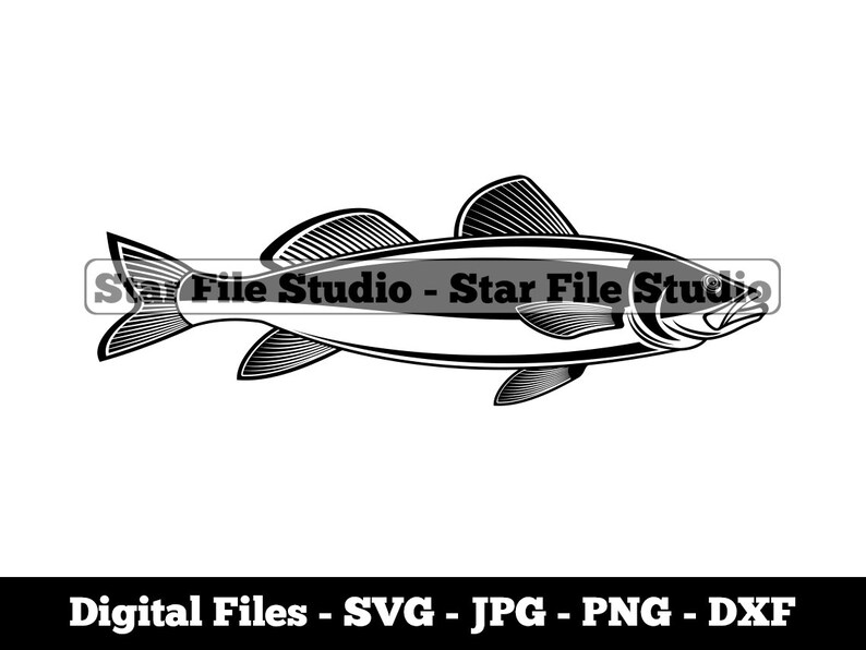 Sea Trout Svg Speckled Trout Svg Fishing Svg Sea Trout Png | Etsy