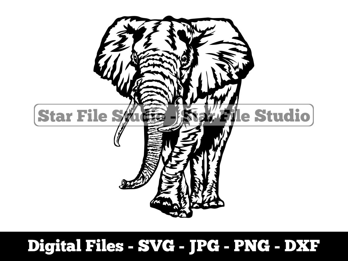 Elephant Svg Safari Animals Svg African Elephant Svg | Etsy