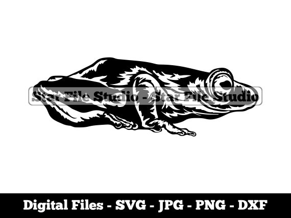 Frog 5 Svg Frog Svg Amphibian Svg Frog Png Frog Jpg Frog | Etsy