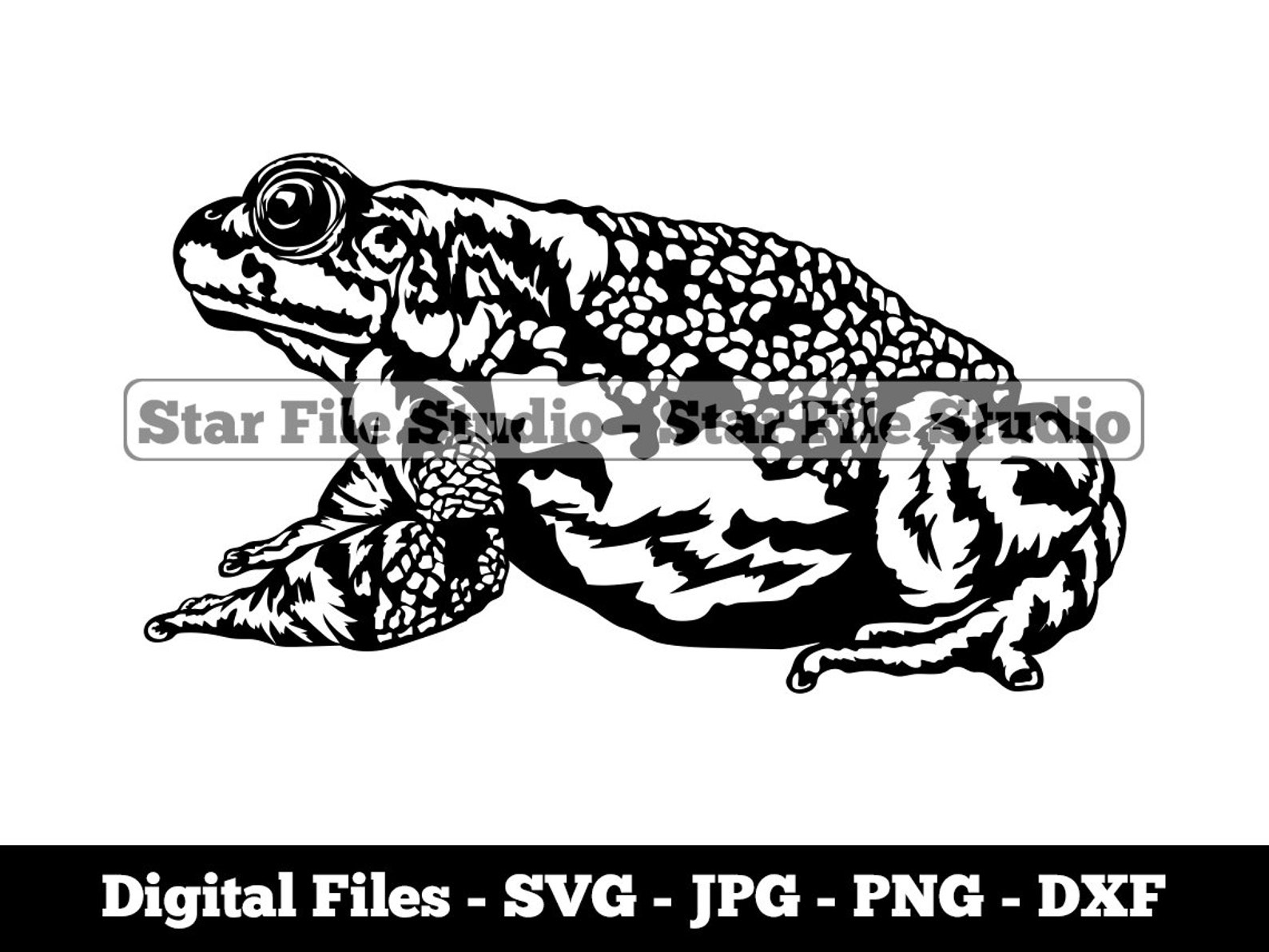 Toad 3 Svg Toad Svg Frog Svg Toad Png Toad Jpg Toad - Etsy