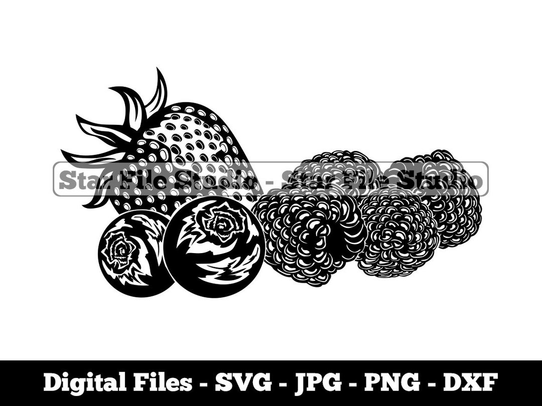 Berries Svg, Fruits Svg, Berry Svg, Berries Png, Berries Jpg, Berries ...