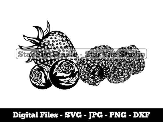 Berries Svg Fruits Svg Berry Svg Berries Png Berries Jpg - Etsy