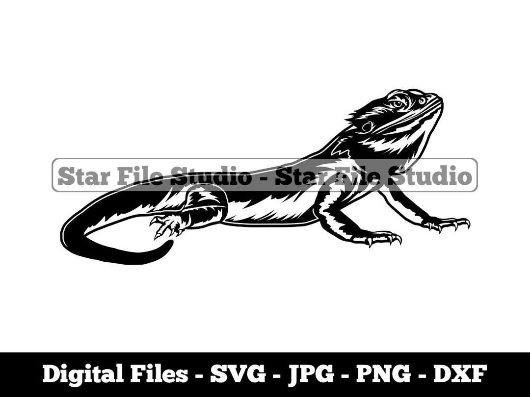 Bearded Dragon #6 Svg, Lizard Svg, Reptile Svg, Bearded Dragon Png ...