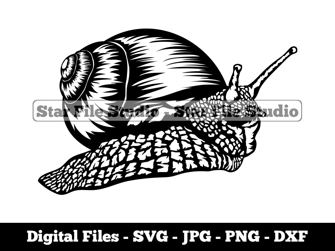 Snail Svg, Slow Svg, Crawling Svg, Snail Png, Snail Jpg, Snail Files ...