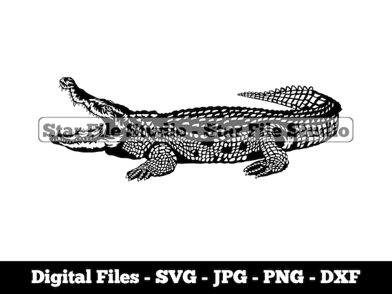 Alligator 6 Svg Alligator Png Alligator Jpg Amphibian Svg | Etsy