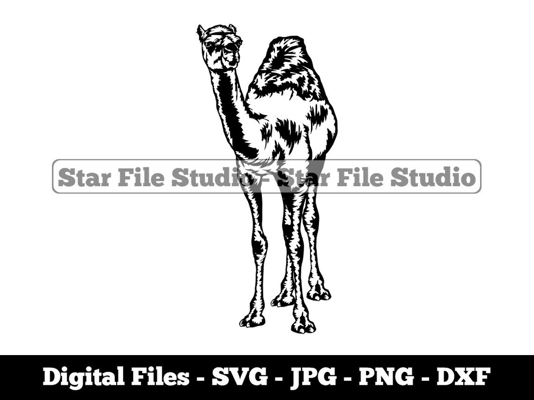 Camel 2 Svg, Camel Svg, Desert Animals Svg, Tourism Svg, Camel Png ...