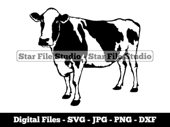 Vache Holstein 2 svg vache svg vache laitière svg bovin - Etsy France