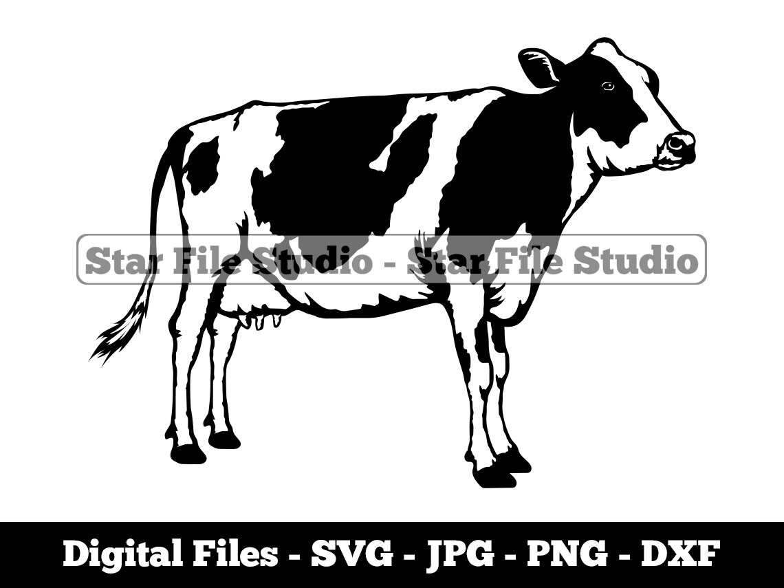 Holstein Cow 4 Svg Cow Svg Dairy Cow Svg Cattle Svg Cow - Etsy