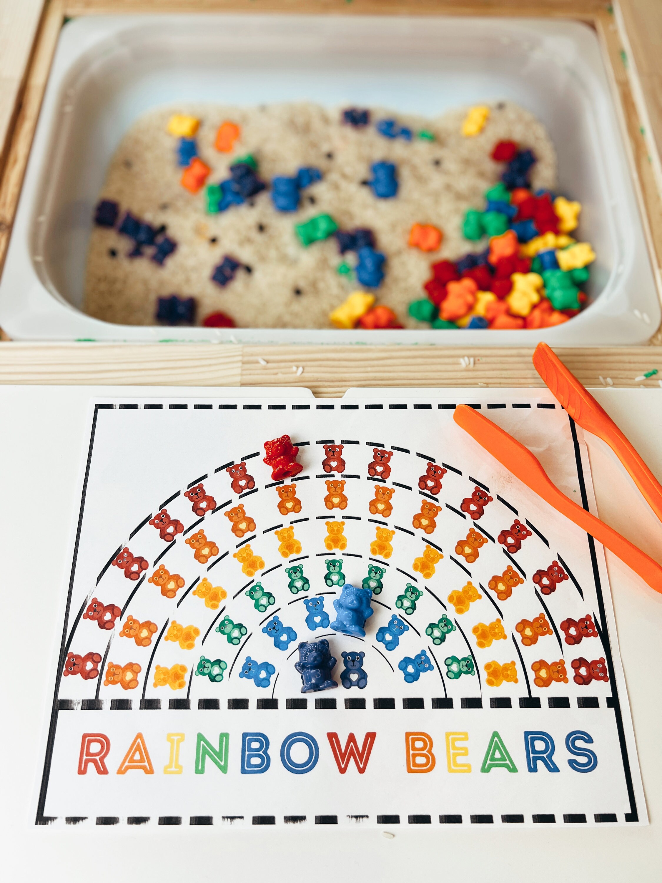 Sensory Bin Printables - Etsy
