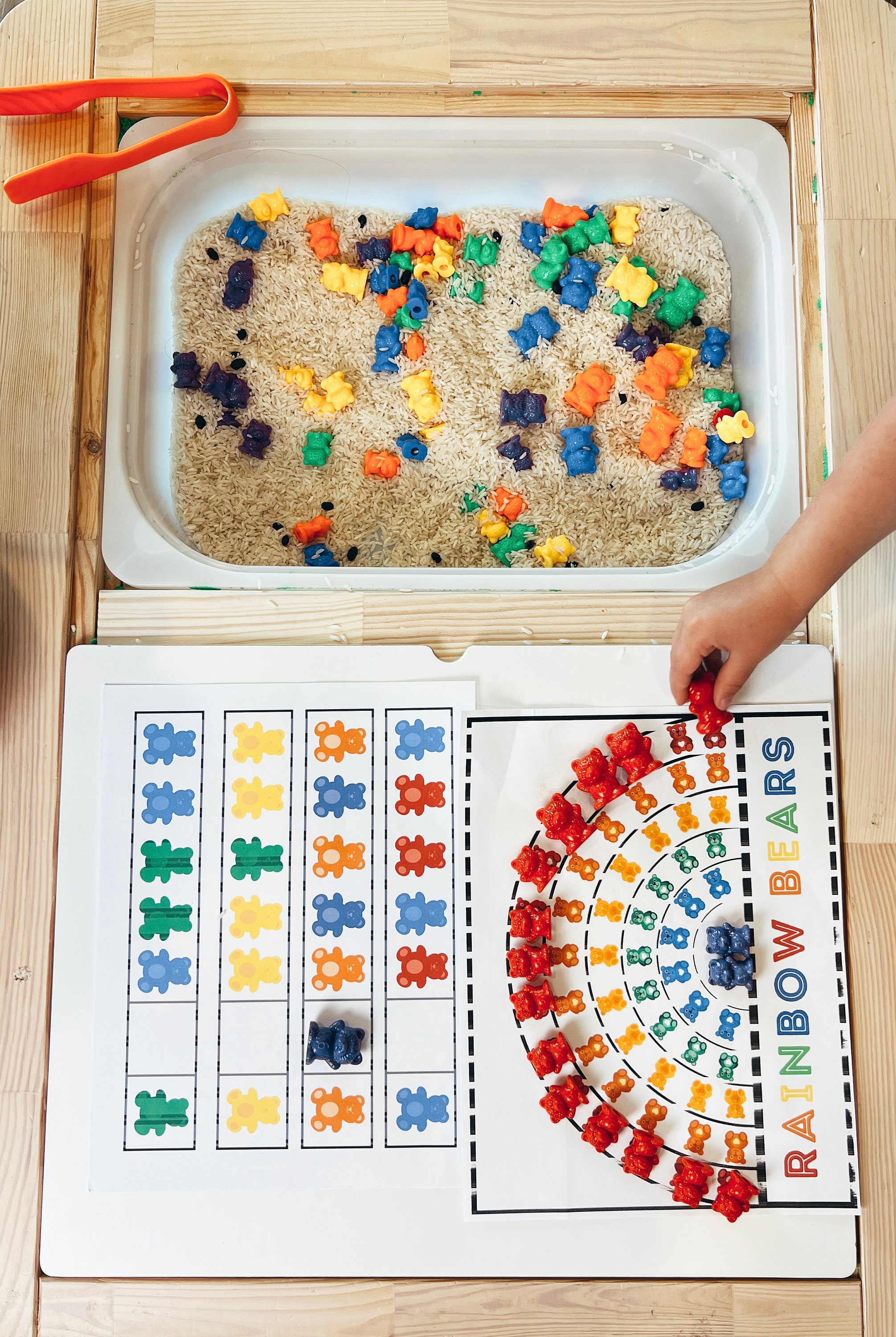 Sensory Bin Printables - Etsy