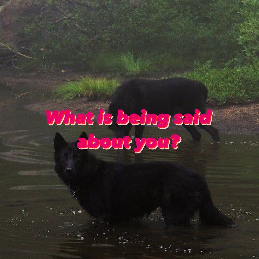 What is Being Said About You? - Etsy
