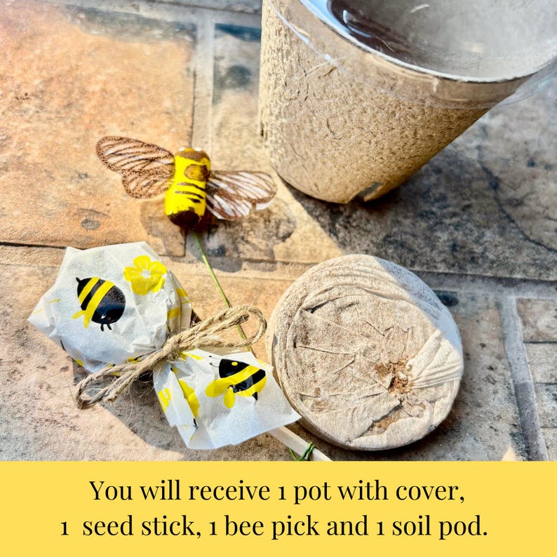 Wildflower Gift DIY Kid Gardening Spring Seed Growing Planting Kit ...