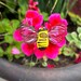 Bumble Bee Picks Bee Flower Decor Baby Shower Bee Decor Floral Bee ...