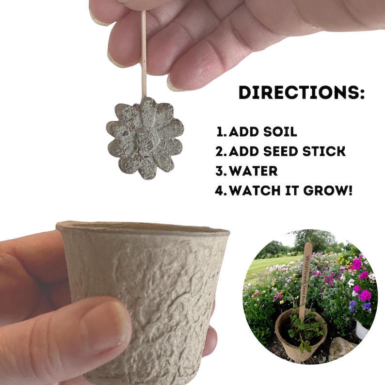 Wildflower Gift DIY Kid Gardening Spring Seed Growing Planting Kit ...
