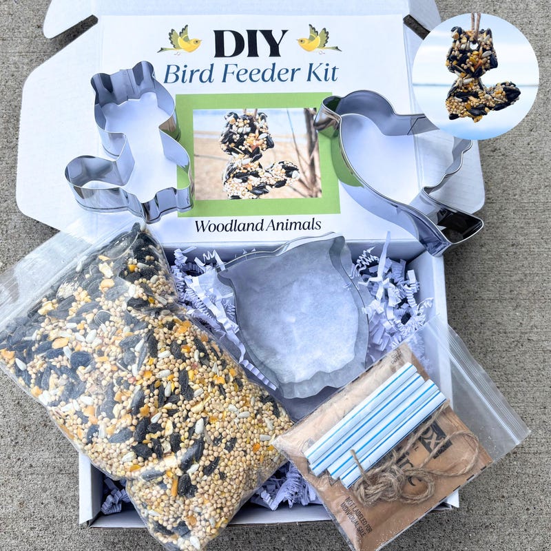 Adult Craft Kits Bird - Etsy