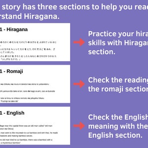 Hiragana Reading Practice Stories for Beginners - Etsy