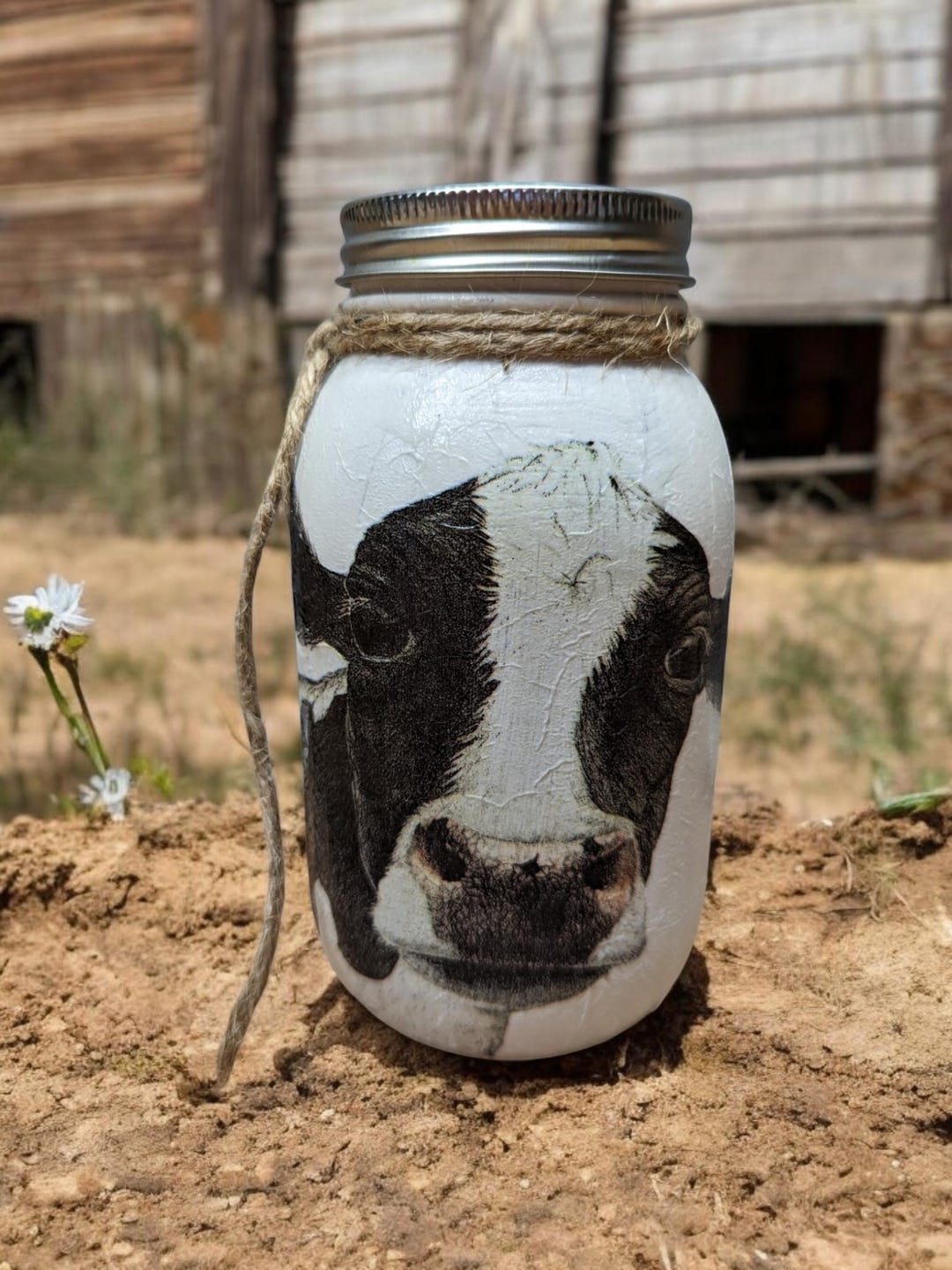 Rosy the Dairy Cow (holstein) Mason Jar Piggy Bank - Etsy