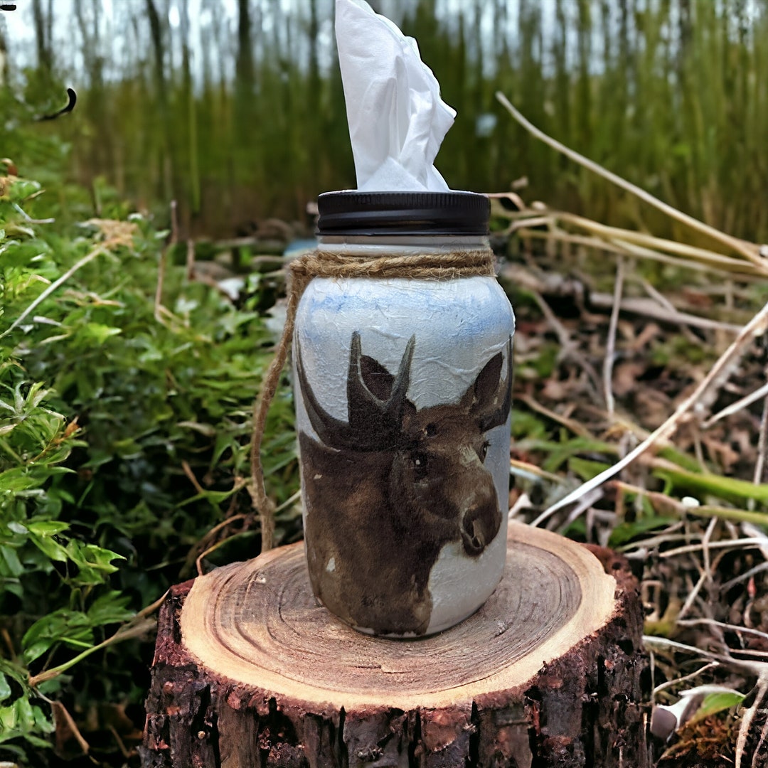 Moose Mason Jar Soap Pump, Tissue Dispenser, Vase, Canister, Coin Bank ...