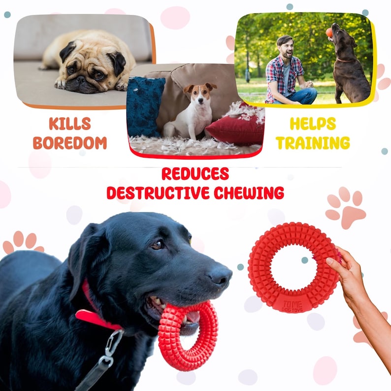TOME DOG TOYS Ring Solid Dog Toys for Aggressive Chewers - Etsy México
