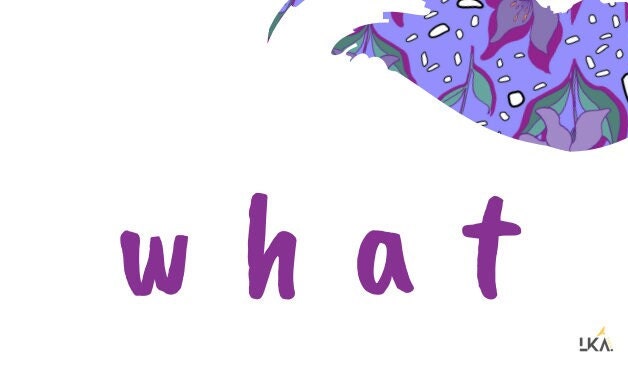 Camera Words/sight Words Printable Cards upper Primary/high School ...