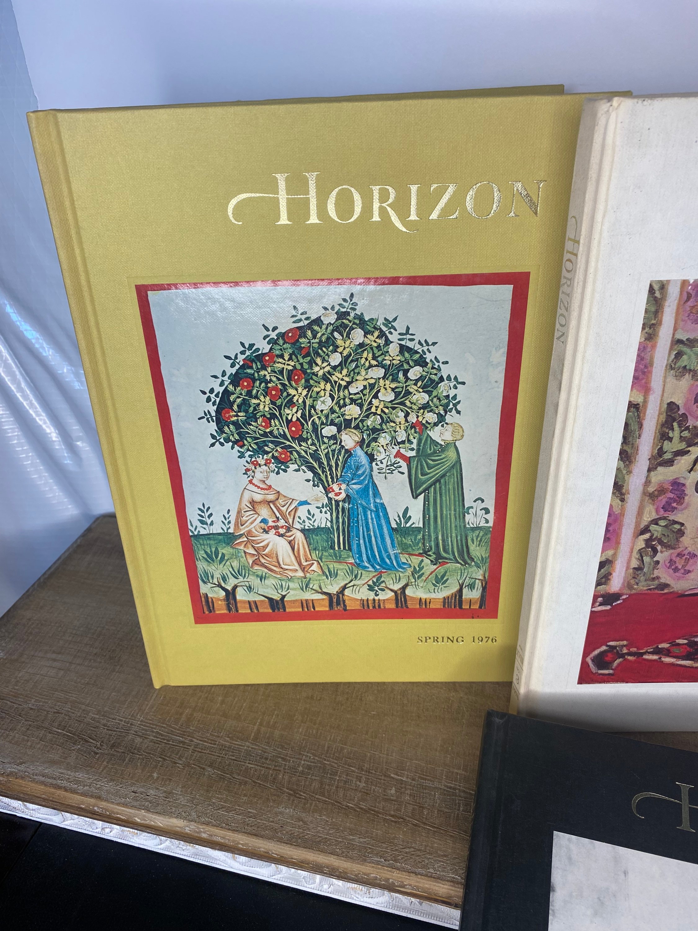 Horizons Book Series - Etsy