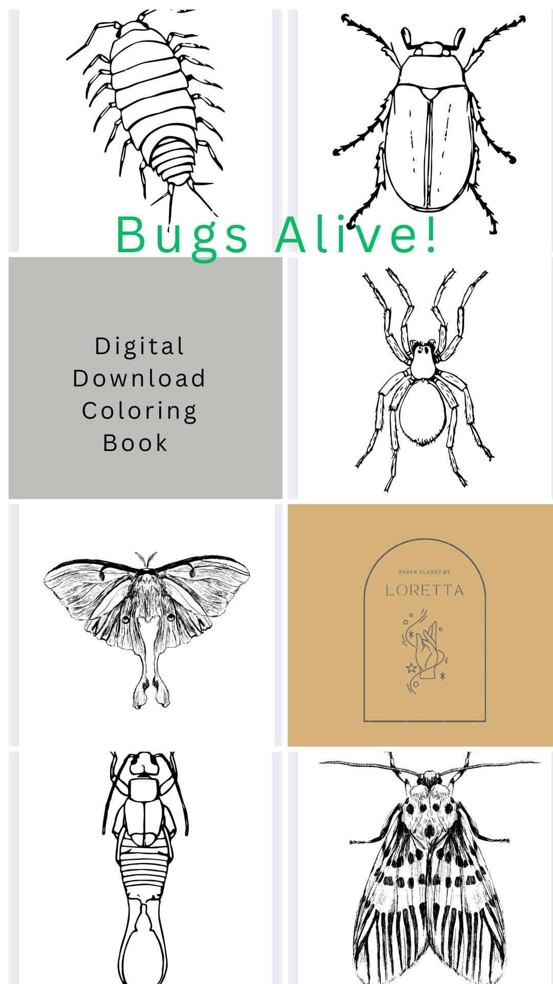 Coloring Book *digital Download* PDF Bugs Alive - Etsy