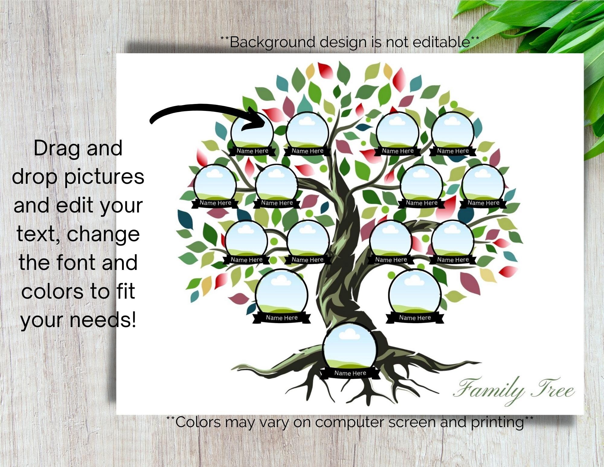 Family Tree Template Printable Family Tree Chart Editable - Etsy Israel