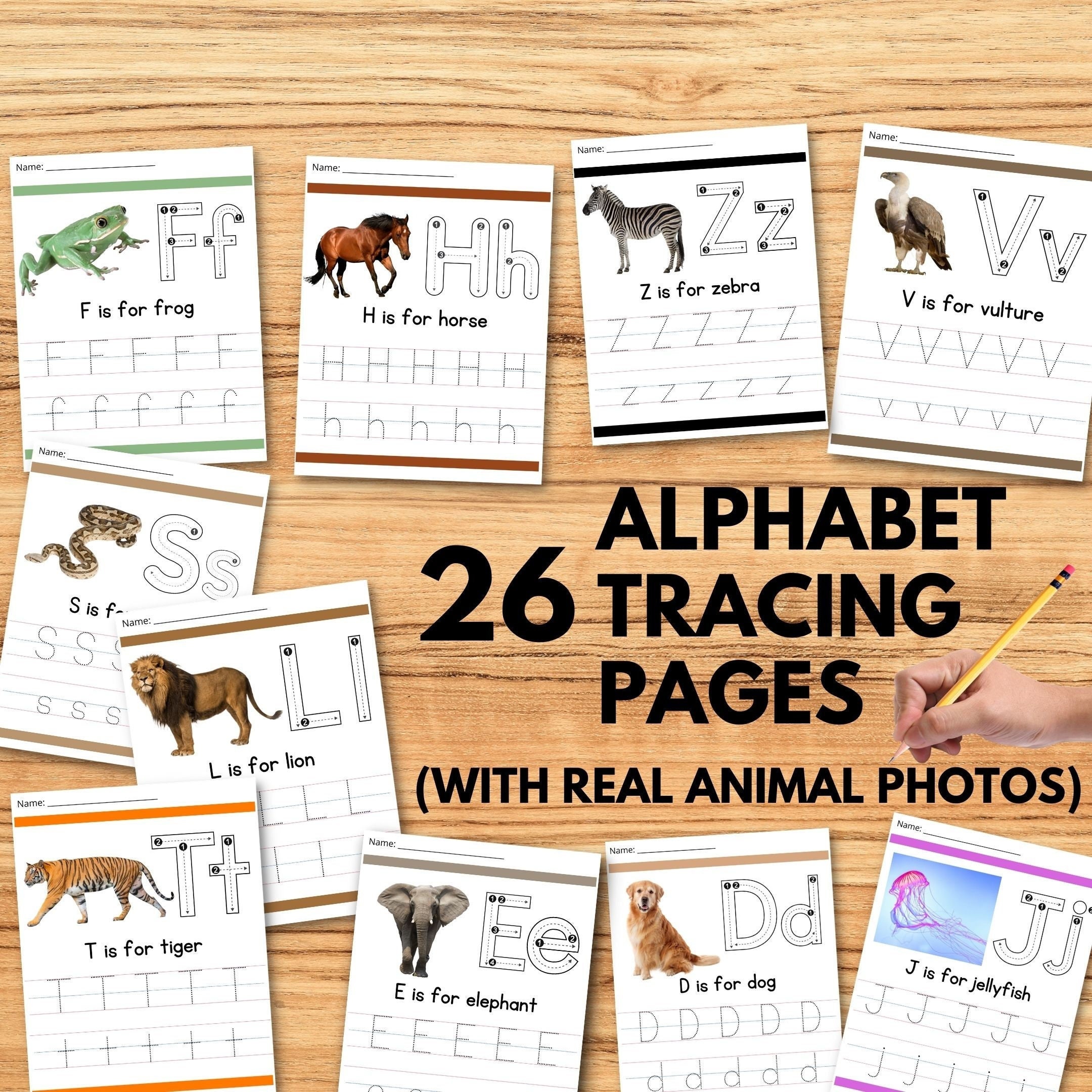 26 Printable Alphabet Tracing Pages 26 Letters With Real Animal ...