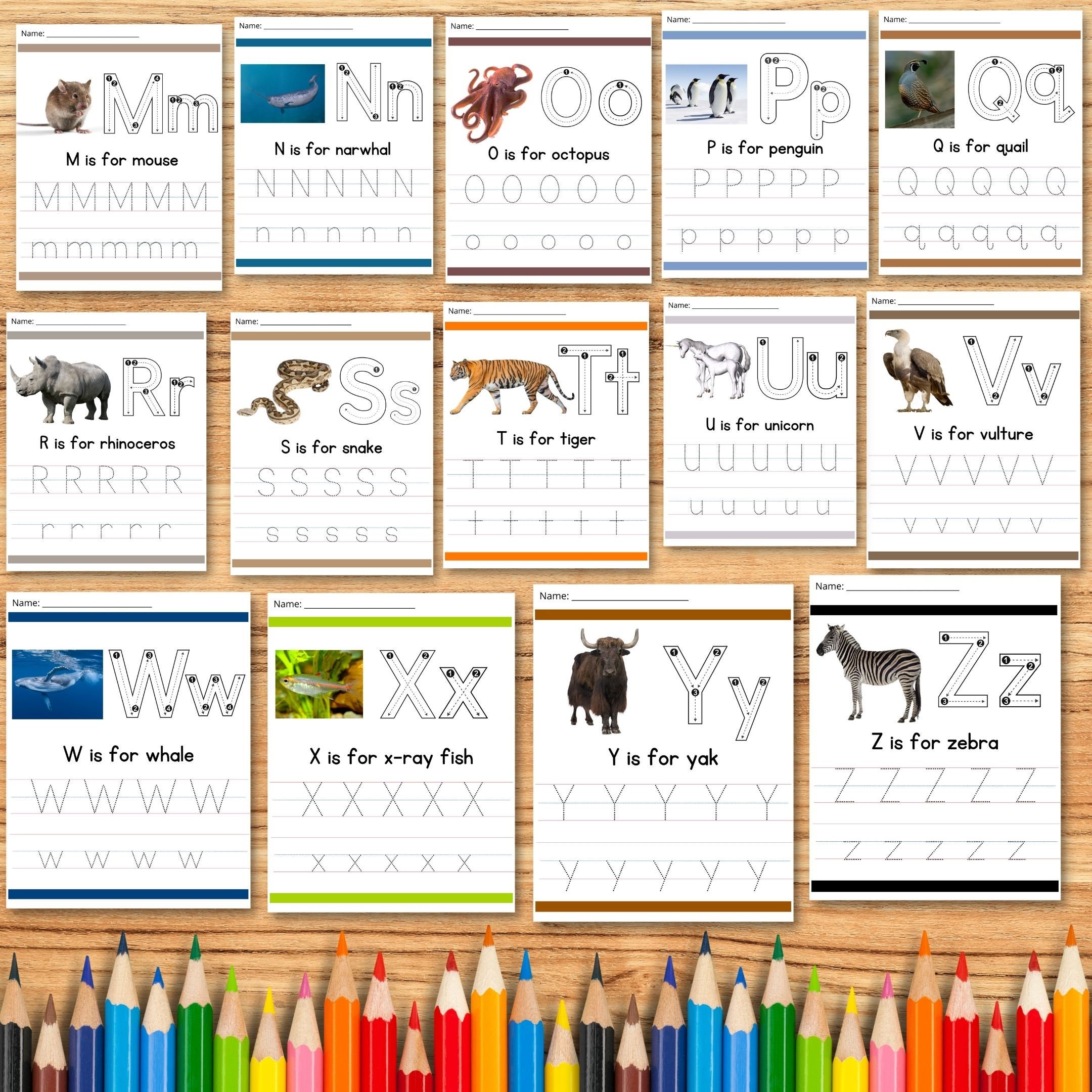 26 Printable Alphabet Tracing Pages 26 Letters With Real Animal ...