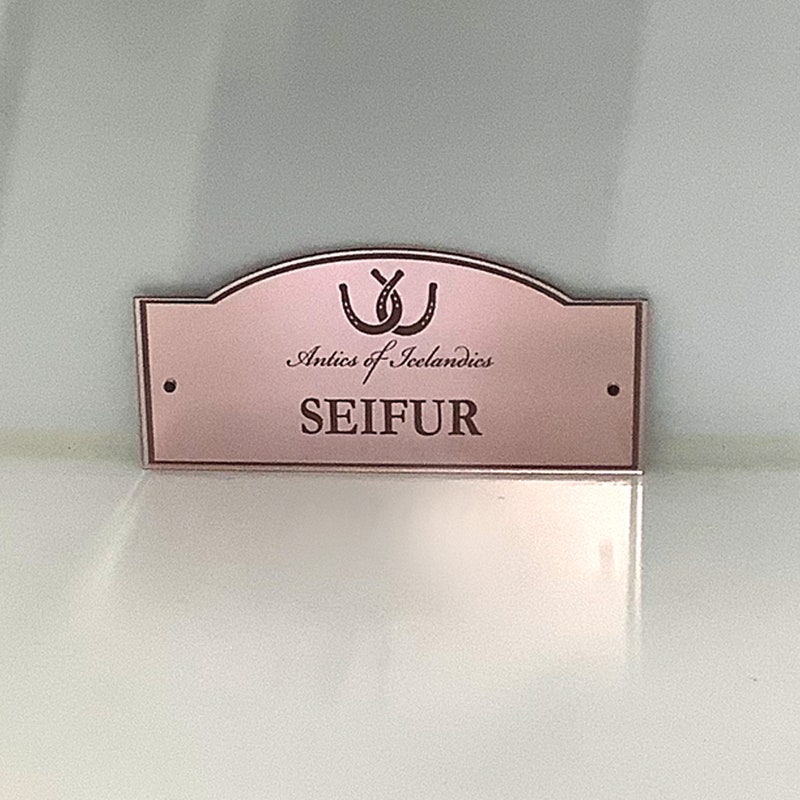 Stall Name Plate - Etsy