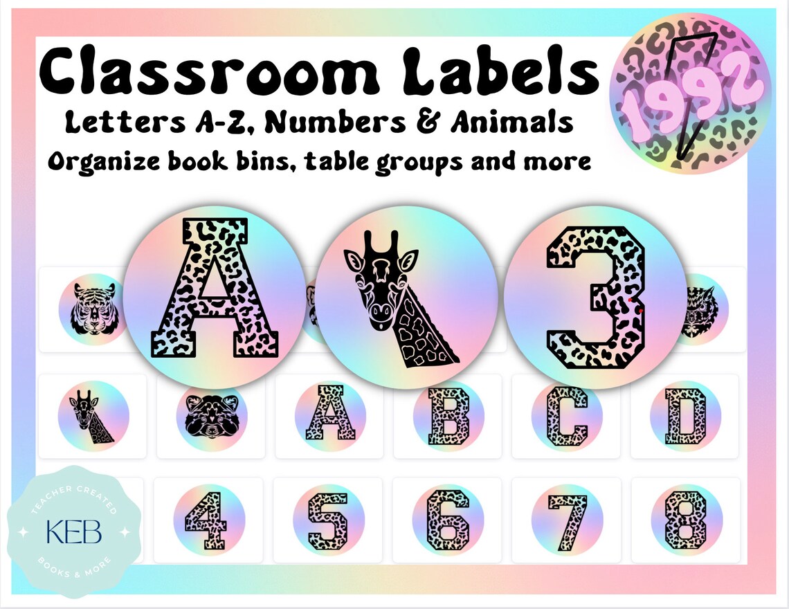 1992 Retro Rainbow Cheetah Classroom Decor Kit Bundle With 12 - Etsy