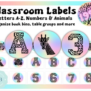 1992 Retro Rainbow Cheetah Classroom Decor Kit Bundle With 12 Products ...