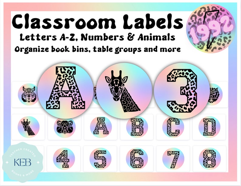 1992 Retro Rainbow Cheetah Classroom Decor Kit Bundle With 12 - Etsy