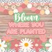 Biblical Affirmation Heart Bulletin Board Kit - Etsy