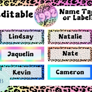 1992 Retro Rainbow Cheetah Classroom Decor Kit Bundle With 12 Products ...