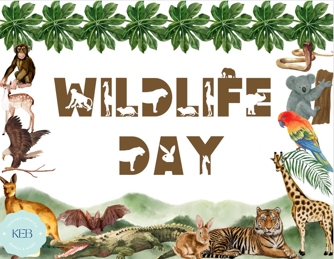 Wildlife Day Bulletin Board Kit - Etsy