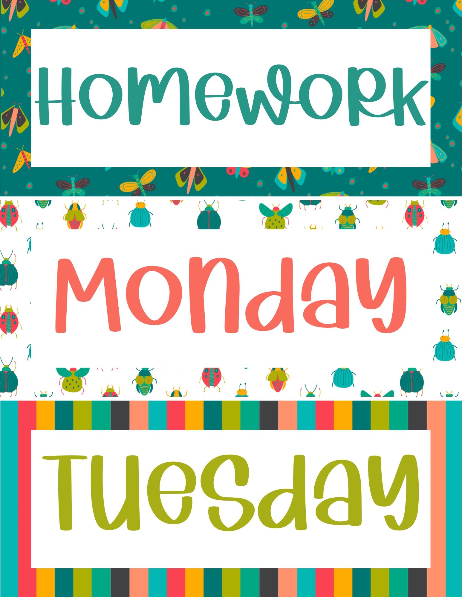 Bright Insect Classroom Labels for Everything & Calendar Flip Chart - Etsy