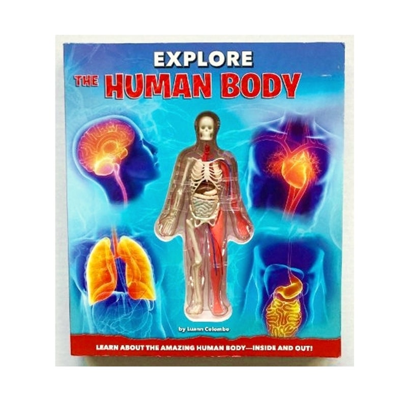 Explore the Human Body Book - Etsy