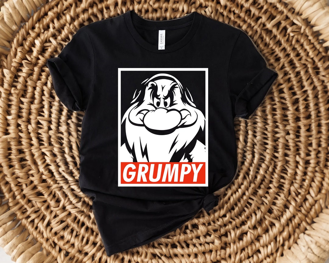 Disney Grumpy Shirt,i Don’t Do Matching Shirts, Disney Matching Shirts ...