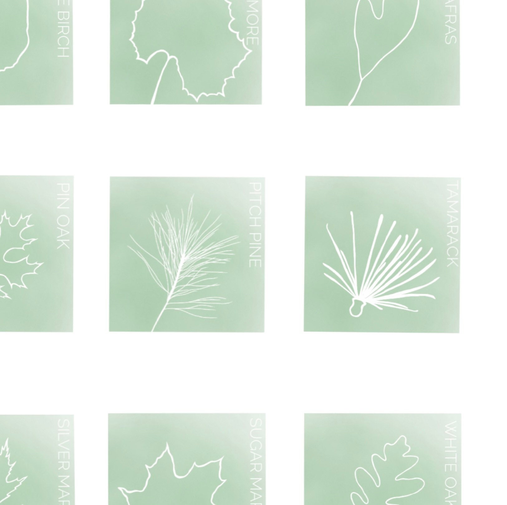 Leaves of Canada Downloadable Printable / Wall Art / Nature Print ...